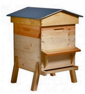 Ruche Dadant | Au Bon Miel