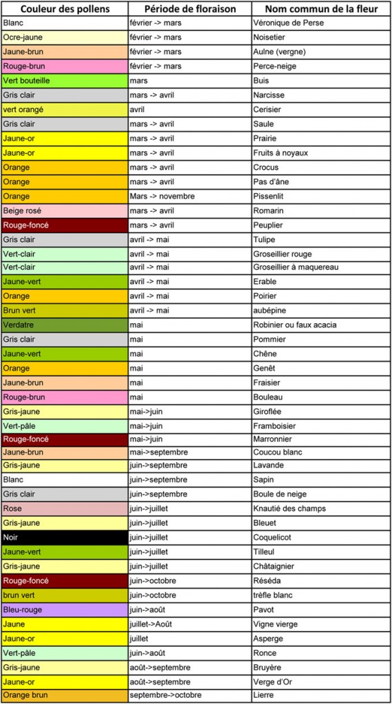 Quelques pollens de fleurs au rythme des saisons | Au Bon Miel
