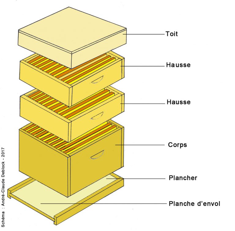 Les types de ruches | Au Bon Miel