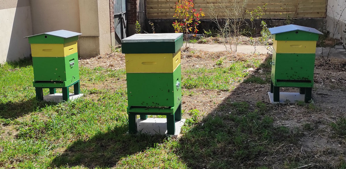 Mes ruchers | Au Bon Miel