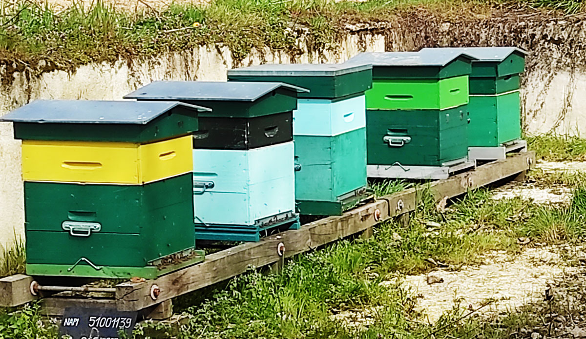 Mes ruchers | Au Bon Miel